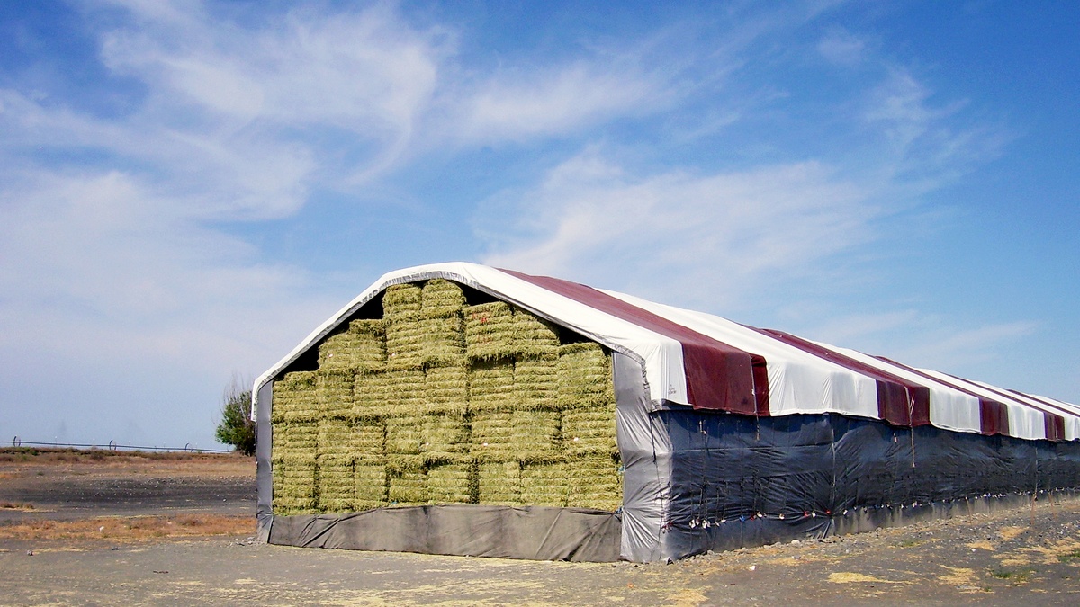 Who We Are | ITC Services