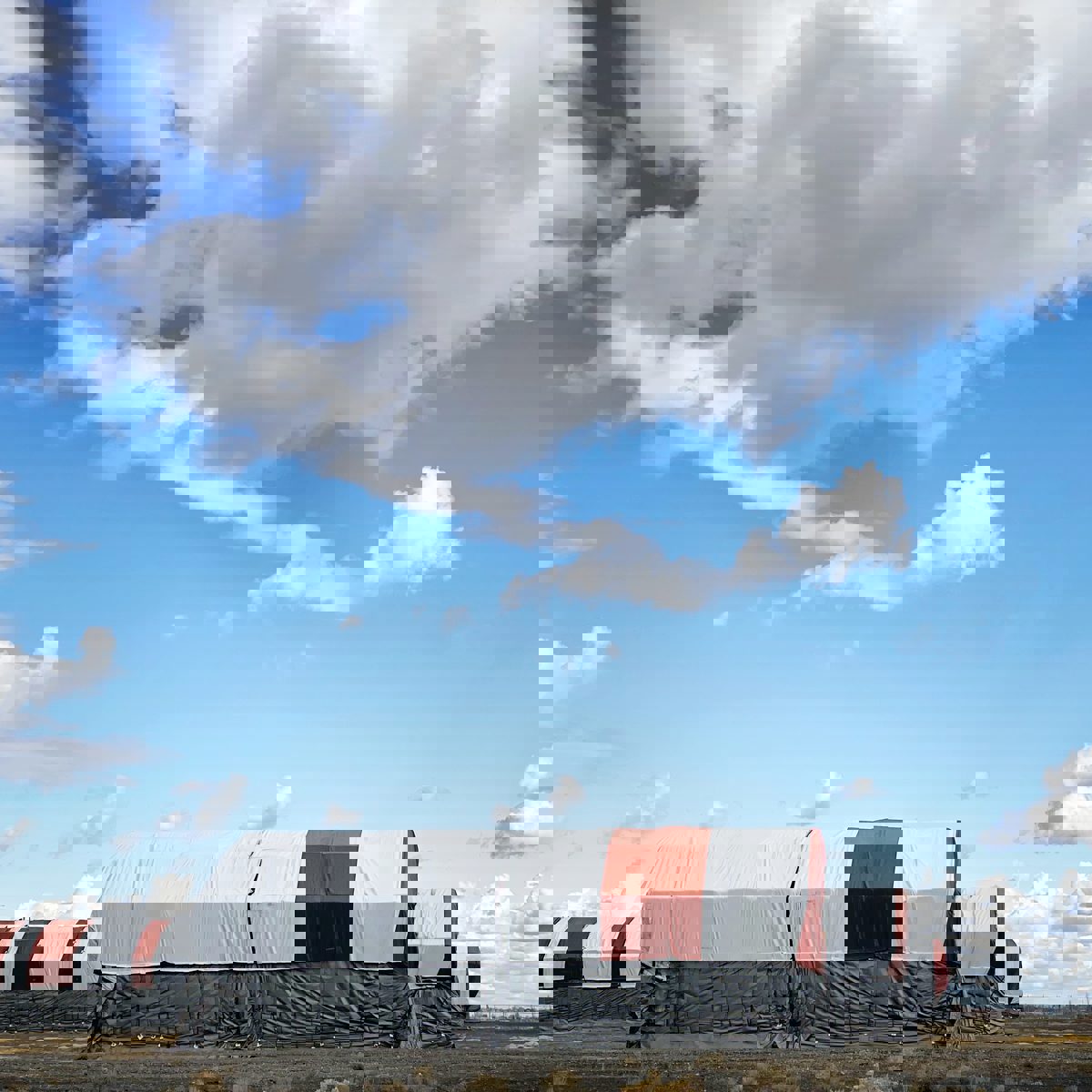 Tarp Purchasing | ITC Services