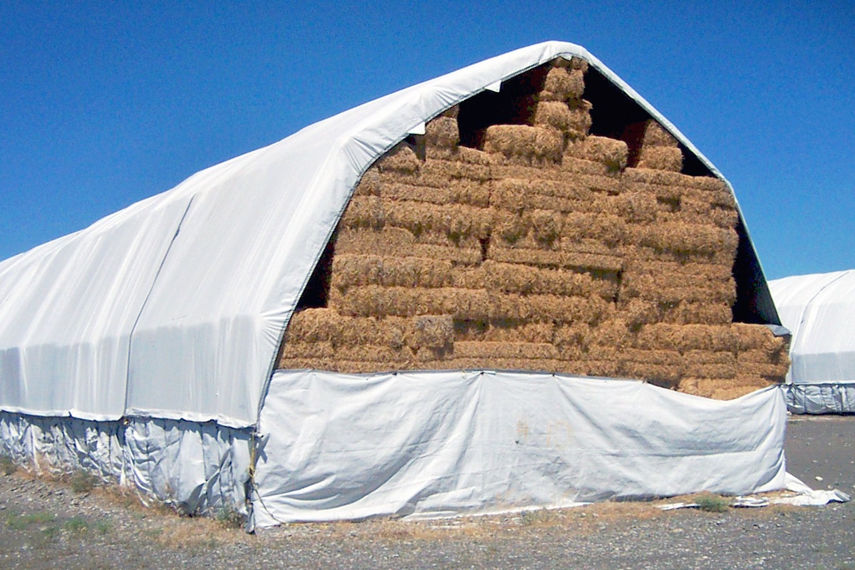 Who We Are | ITC Services